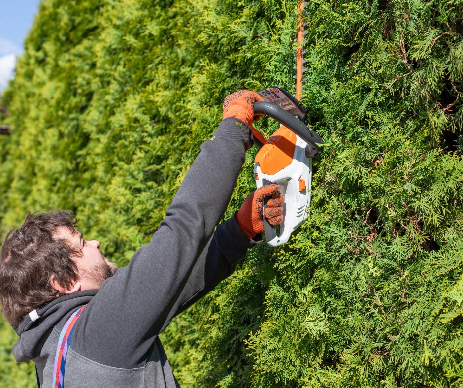 Fall Yard Work Hazards & Home Insurance - G.M. Insurance Center, Inc.